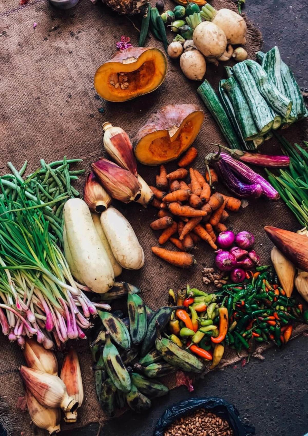 Logística de donación de alimentos | Logio
